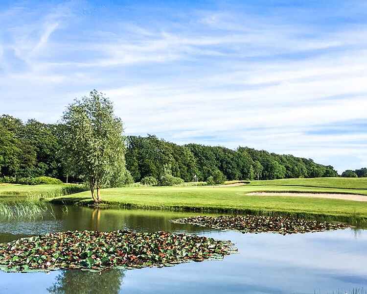 9 af de bedste oplevelser og seværdigheder på Falster (2021)