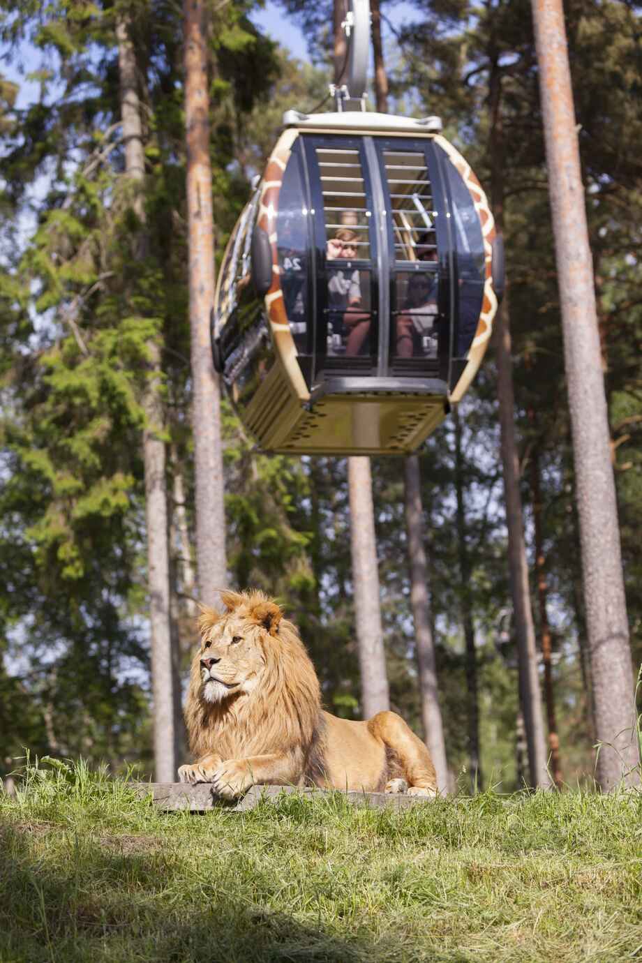 Kolmårdens djurpark